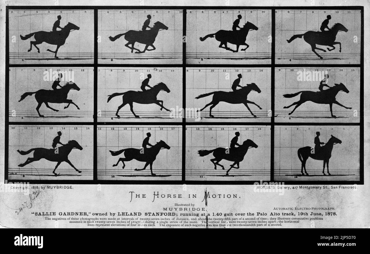 The Horse in Motion high res Stock Photo - Alamy