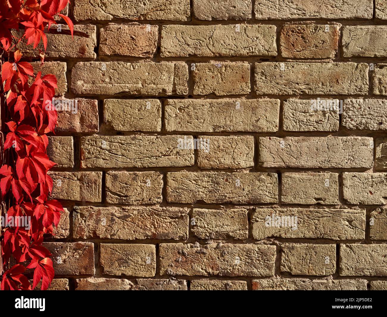 Autumn leaves background with brick pattern Stock Photo - Alamy