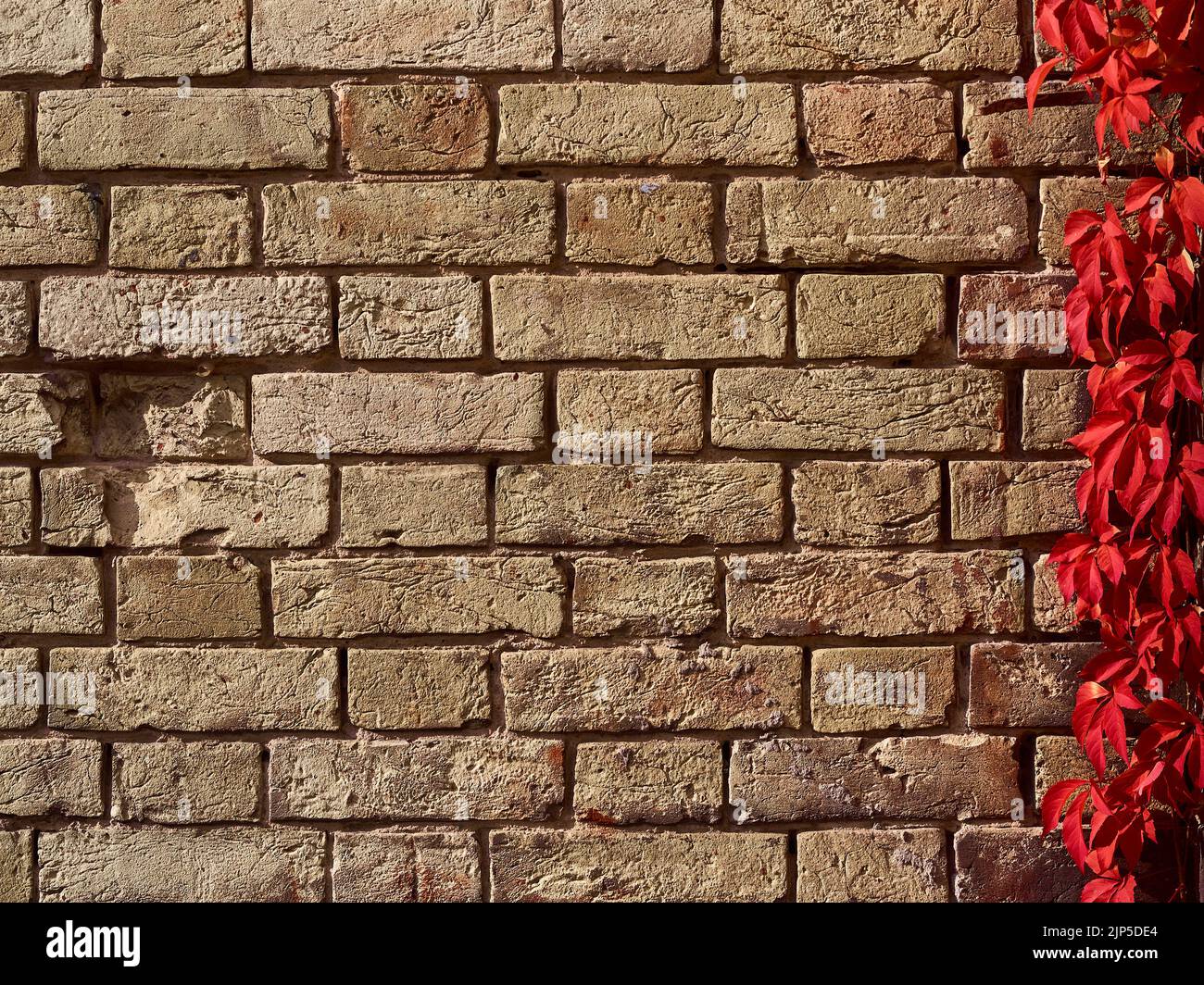 Autumn leaves background with brick pattern Stock Photo - Alamy