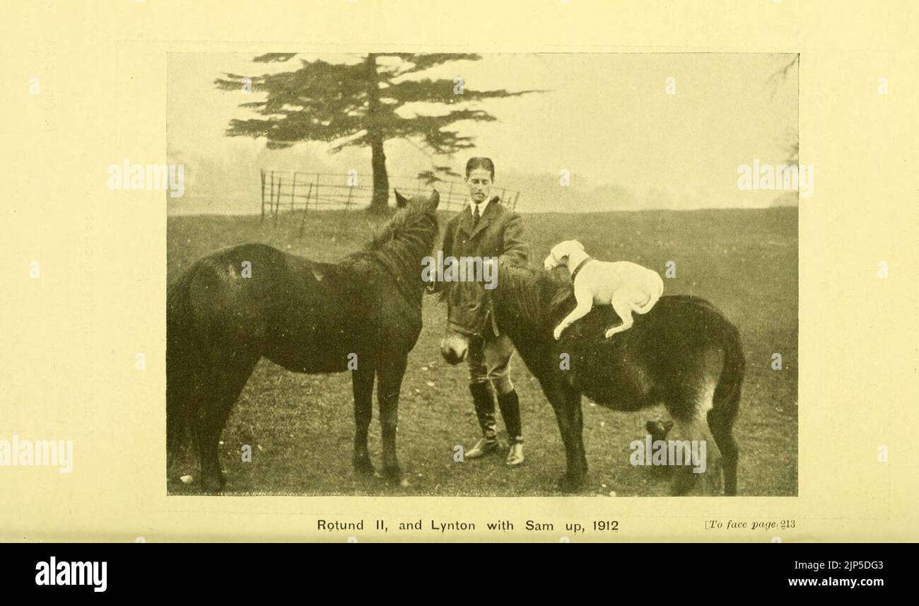 The horse, as comrade and friend Stock Photo - Alamy