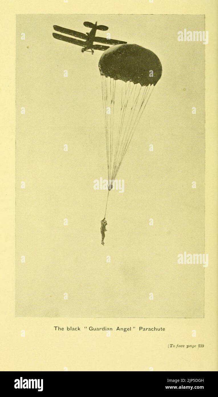 The horse, as comrade and friend Stock Photo - Alamy