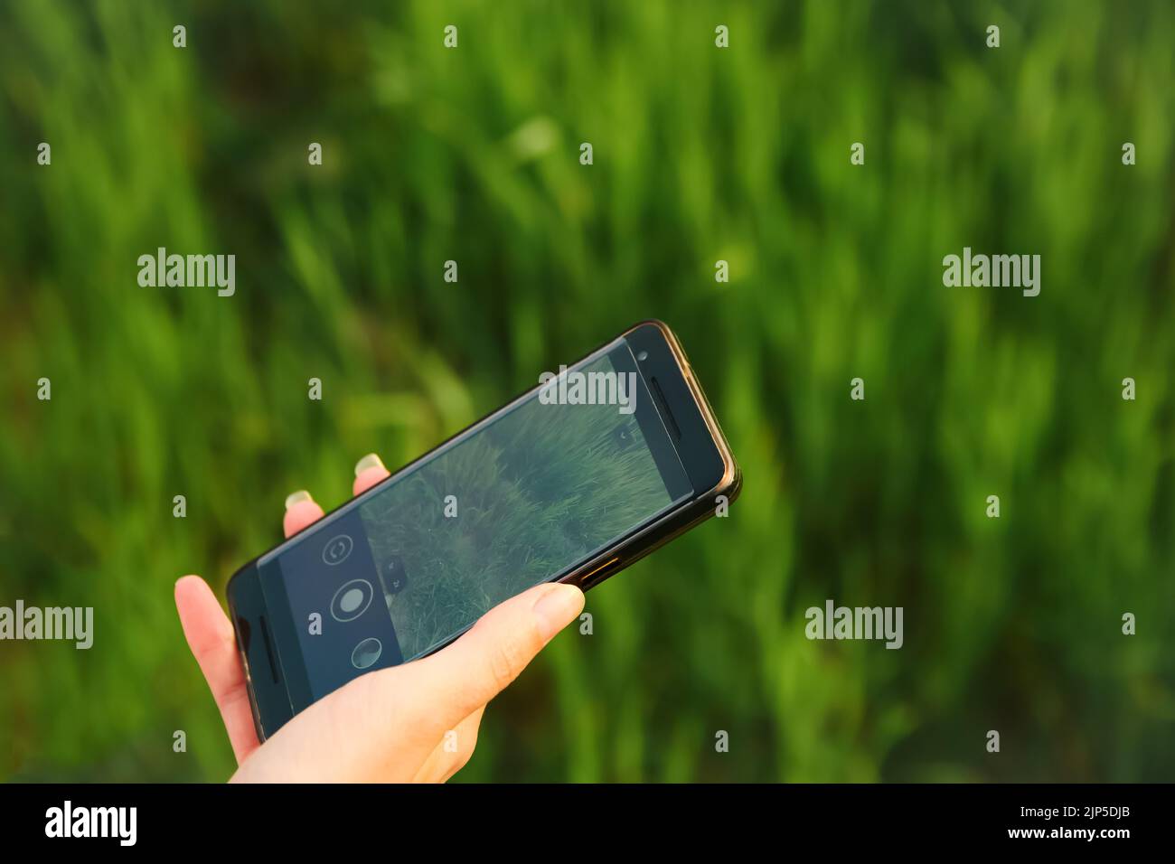 Hand uses smartphone green screen hi-res stock photography and images ...