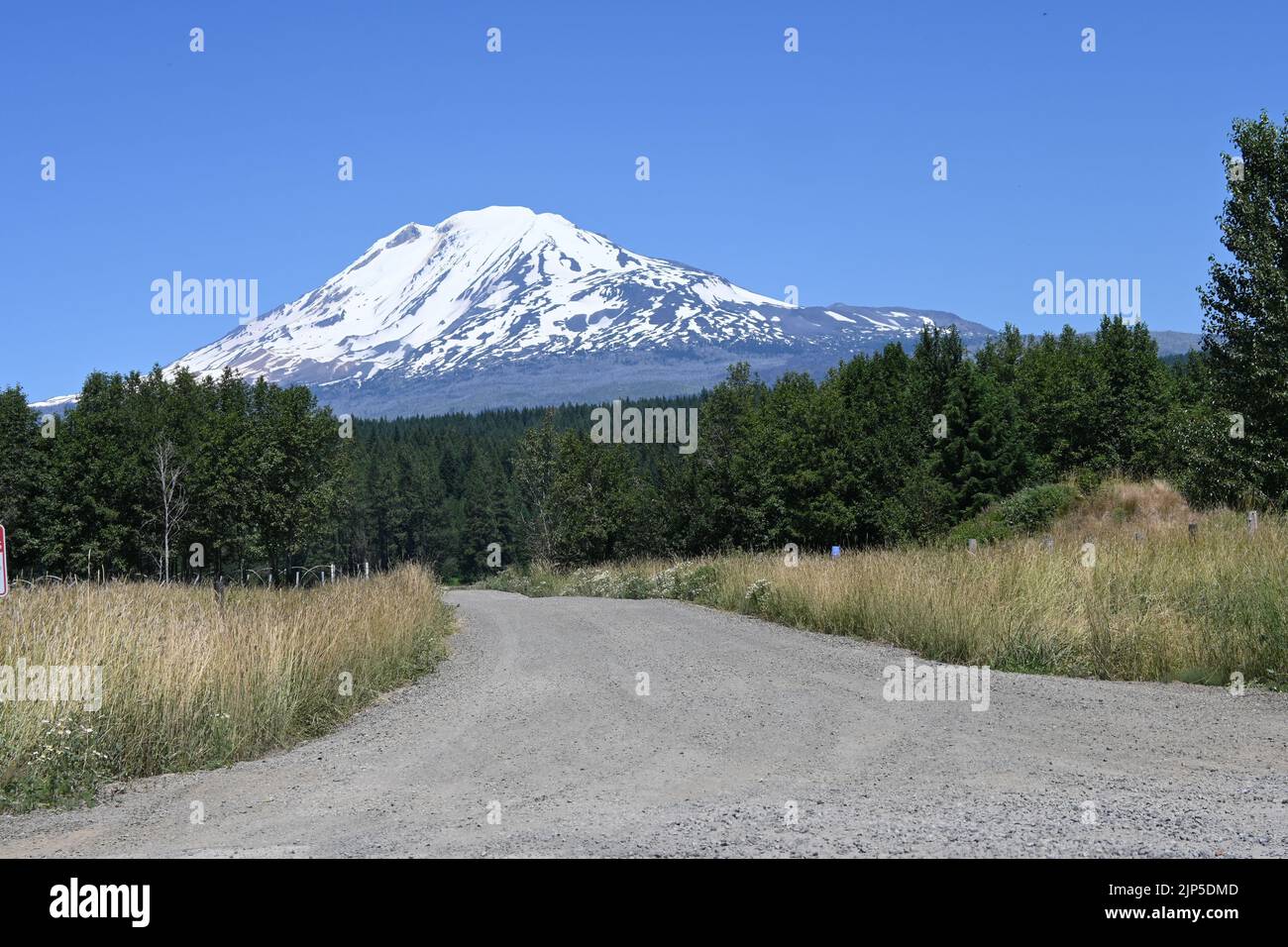 A beautiful view of the Mount Adams in Washington Stock Photo - Alamy