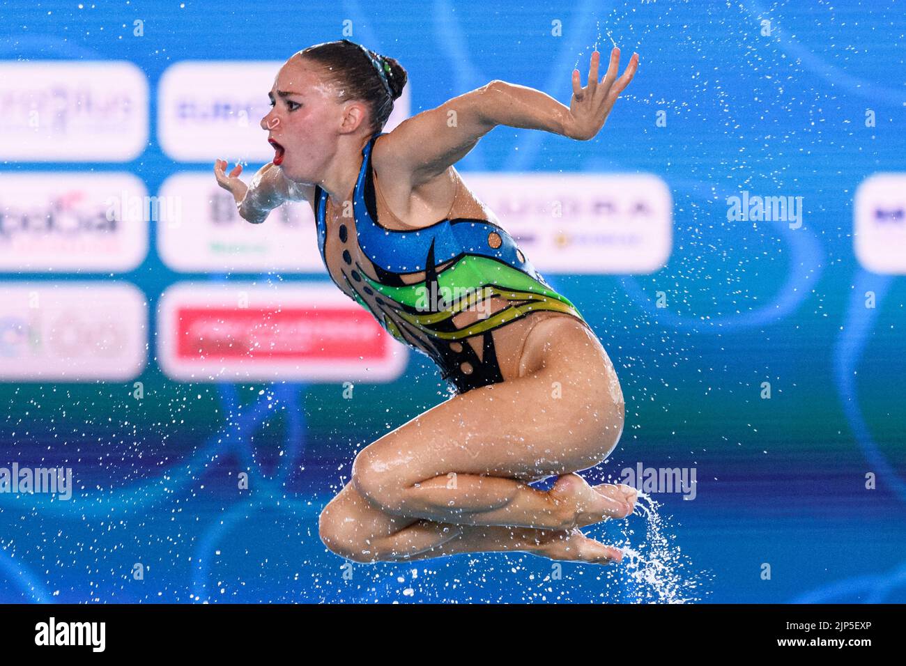 Rovner hi-res stock photography and images - Alamy