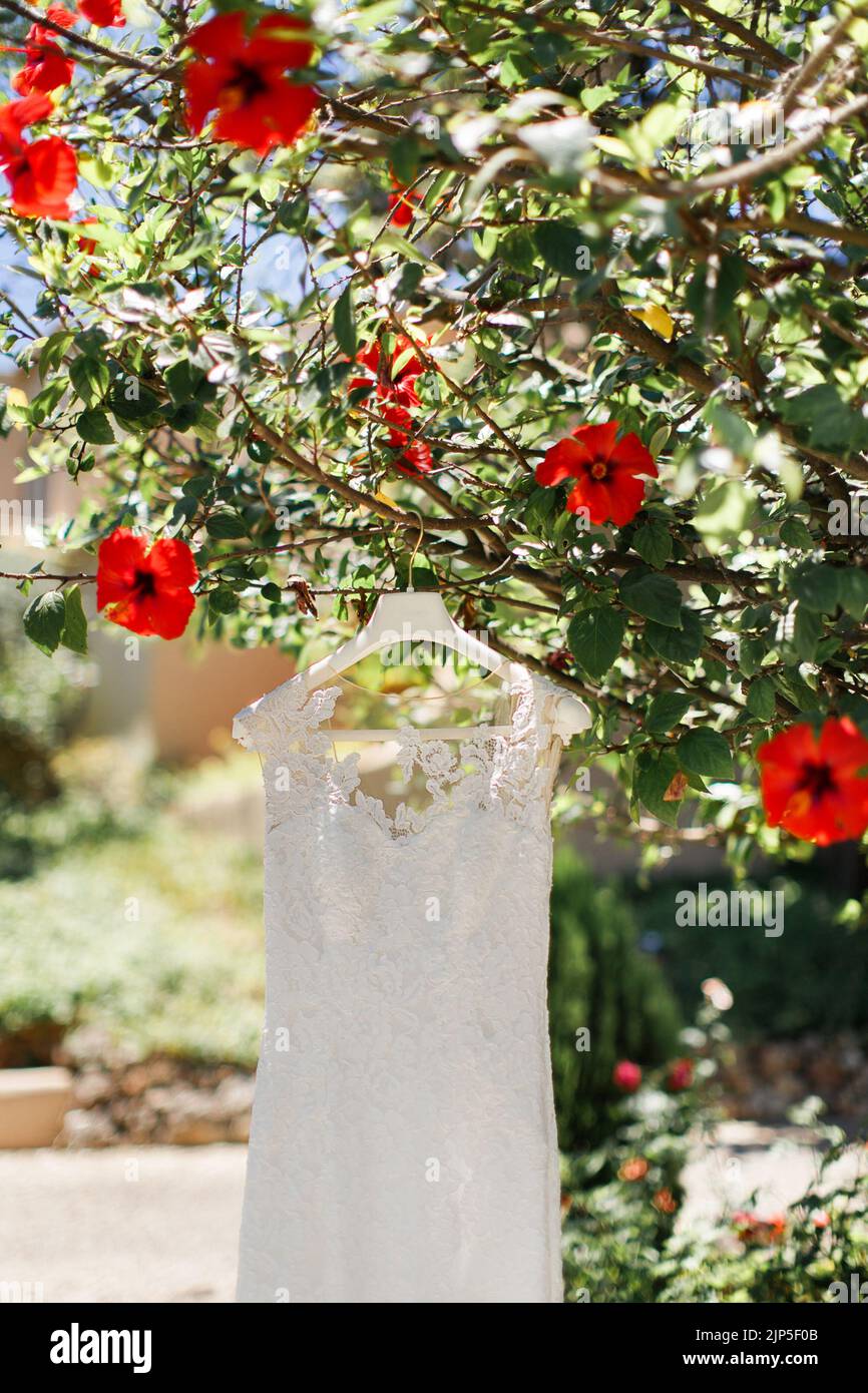 Wedding dress hanging on a tree with flowers Stock Photo - Alamy