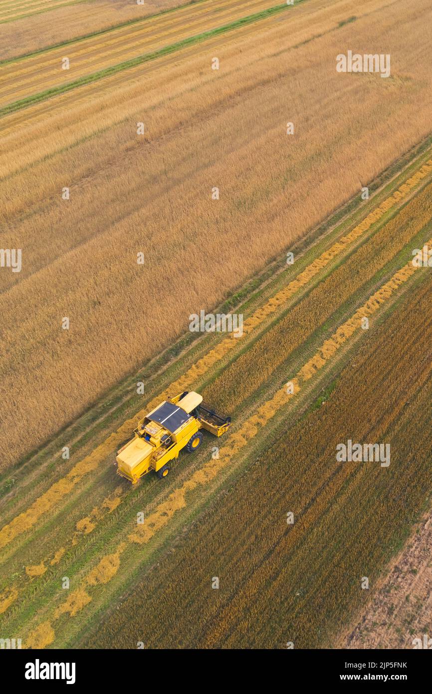 Yellow combine harvester hi-res stock photography and images - Alamy