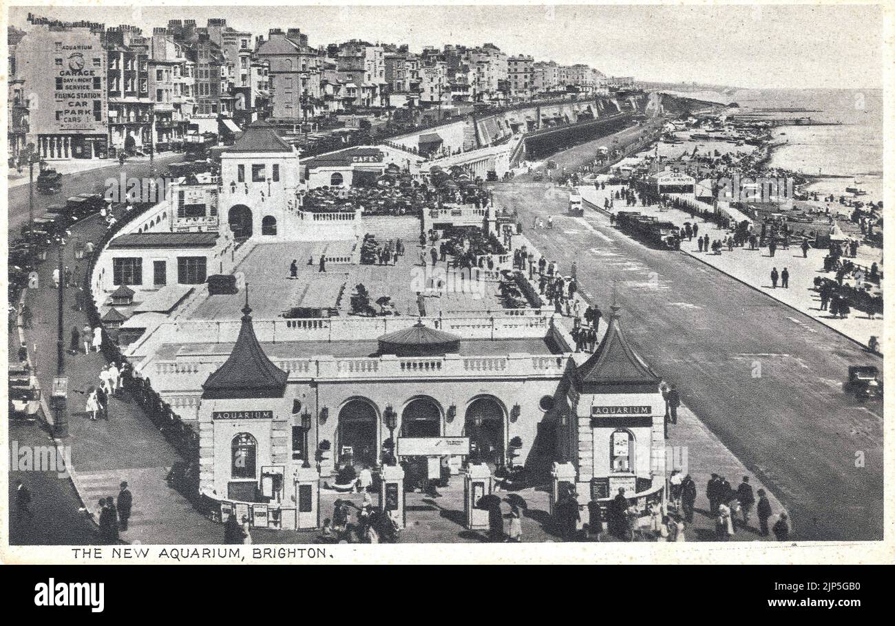 The New AQUARIUM, Brighton, UK Stock Photo - Alamy