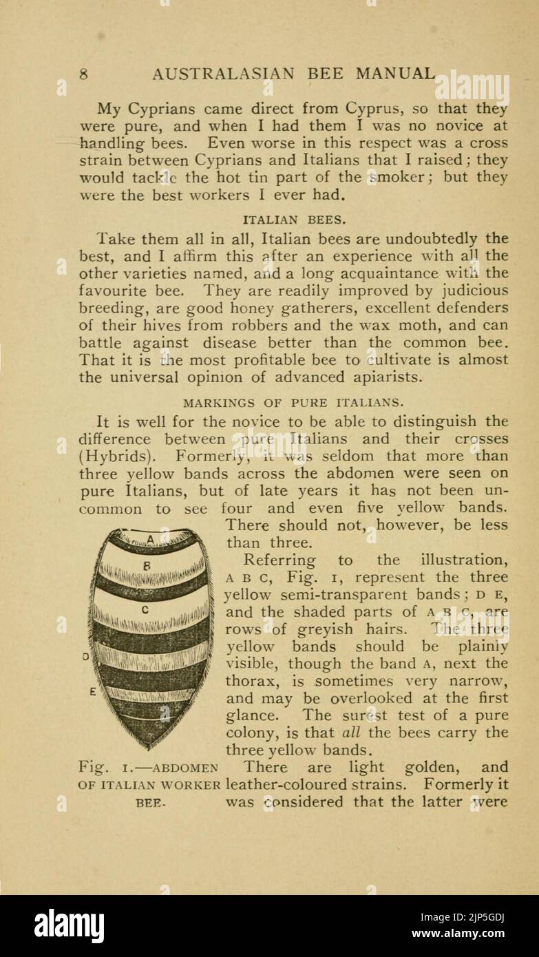 The illustrated Australasian bee manual and complete guide to modern ...
