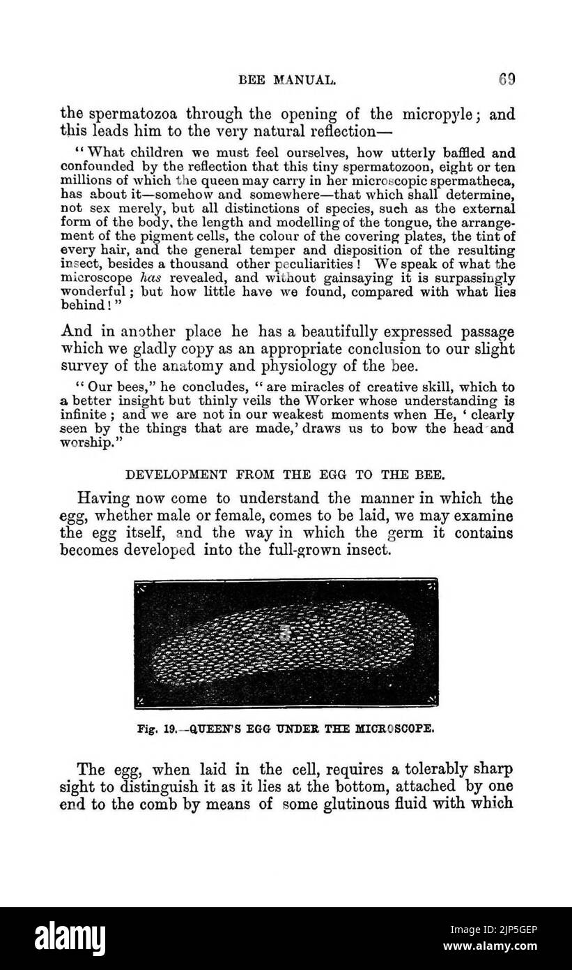 The illustrated Australasian bee manual and complete guide to modern ...