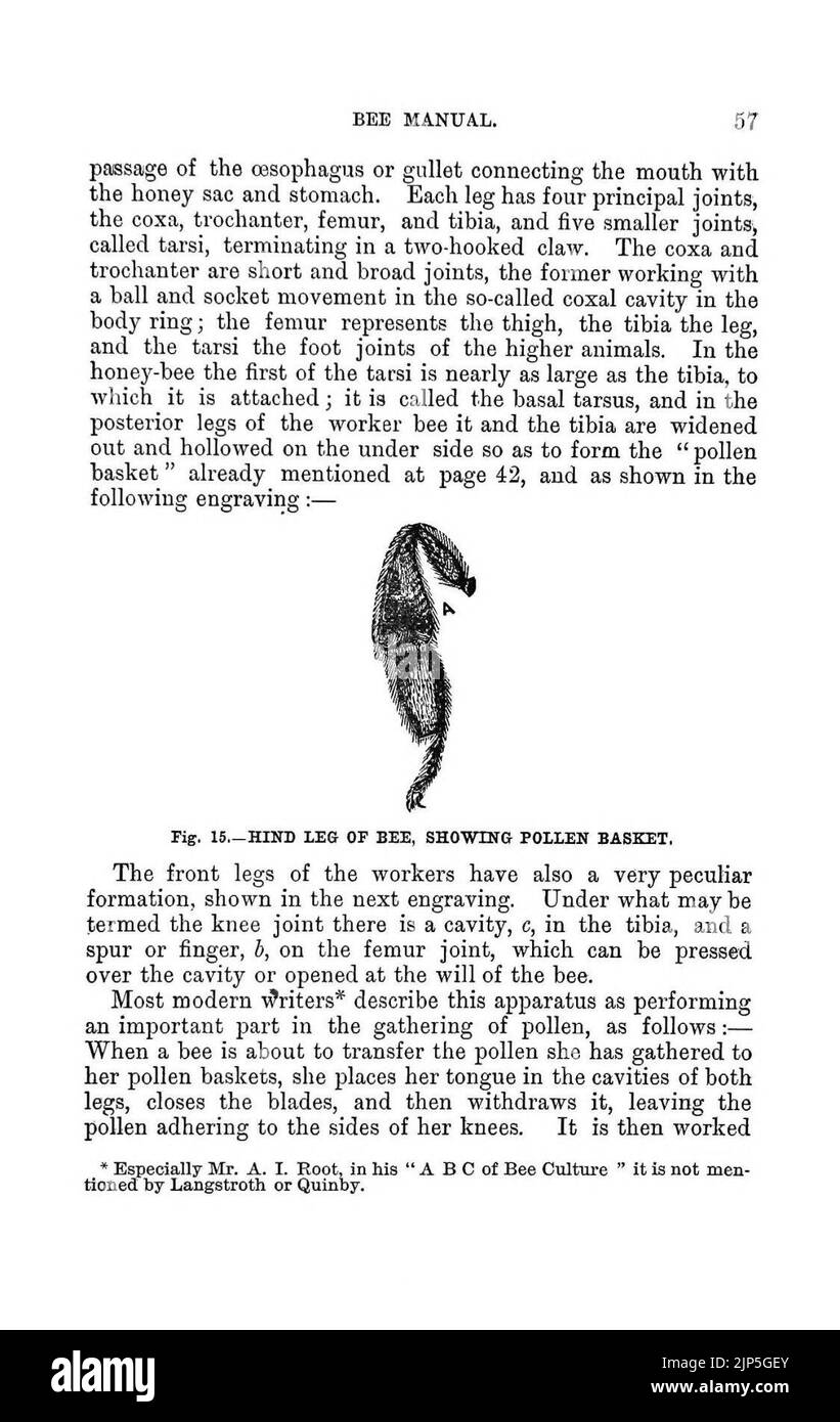 The illustrated Australasian bee manual and complete guide to modern ...