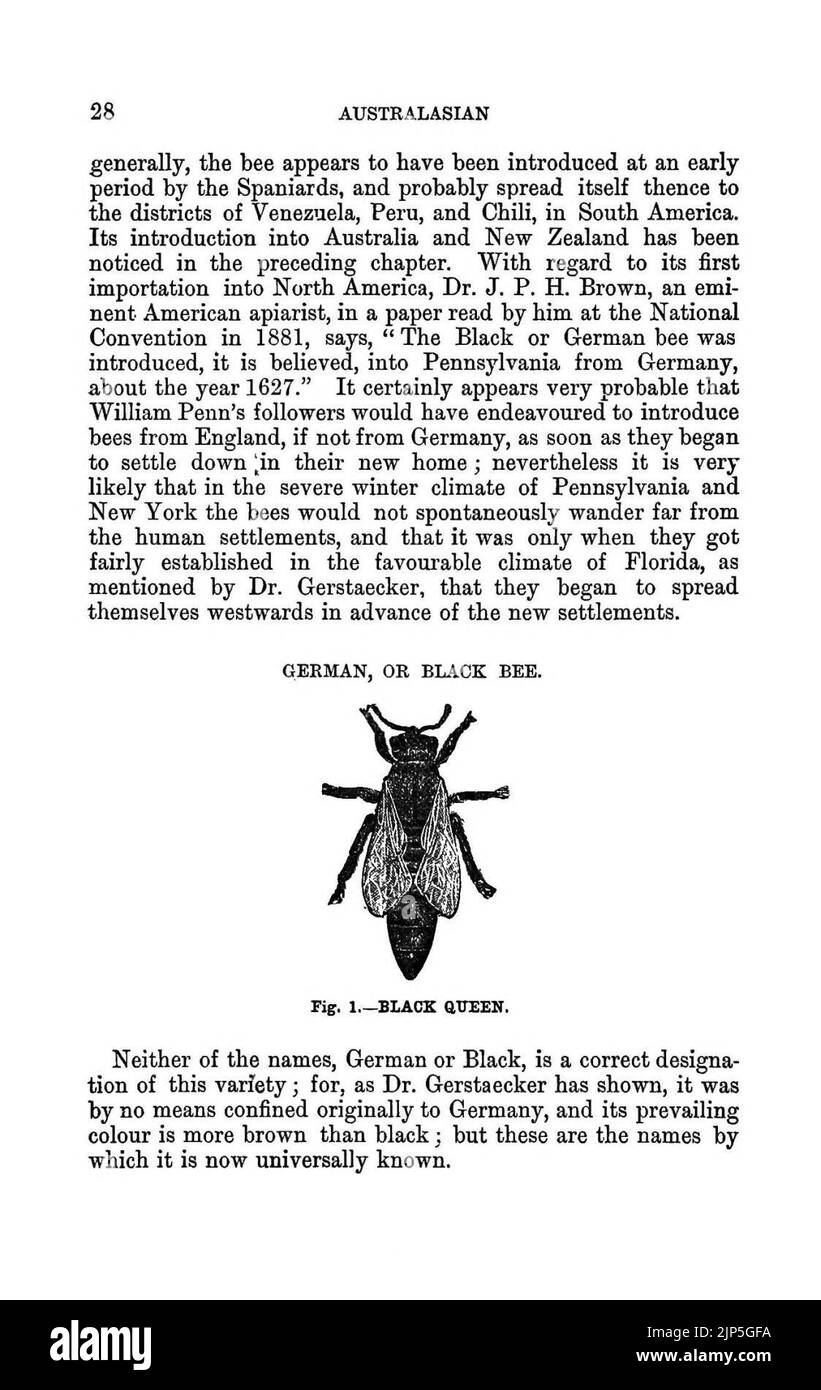 The illustrated Australasian bee manual and complete guide to modern ...