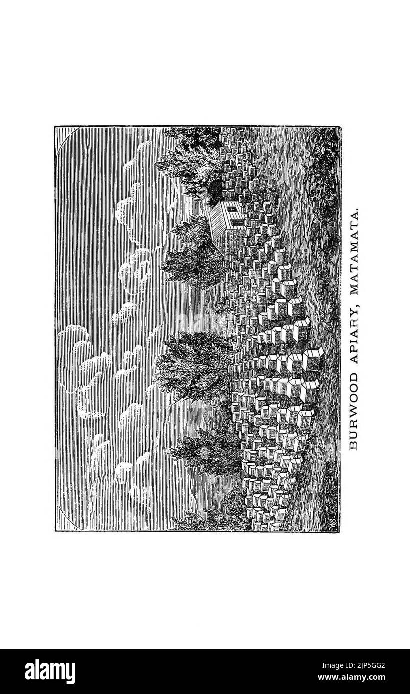 The illustrated Australasian bee manual and complete guide to modern ...