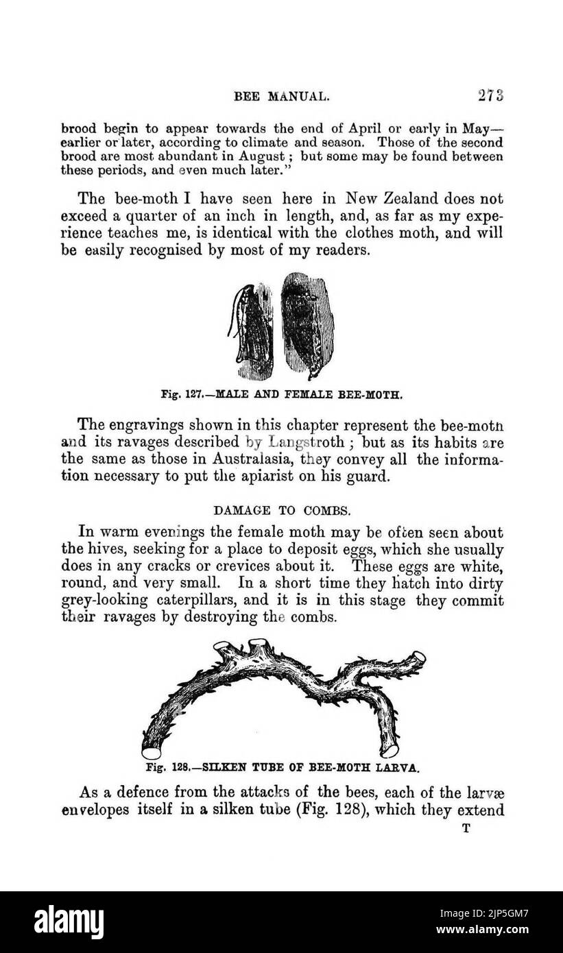 The illustrated Australasian bee manual and complete guide to modern ...