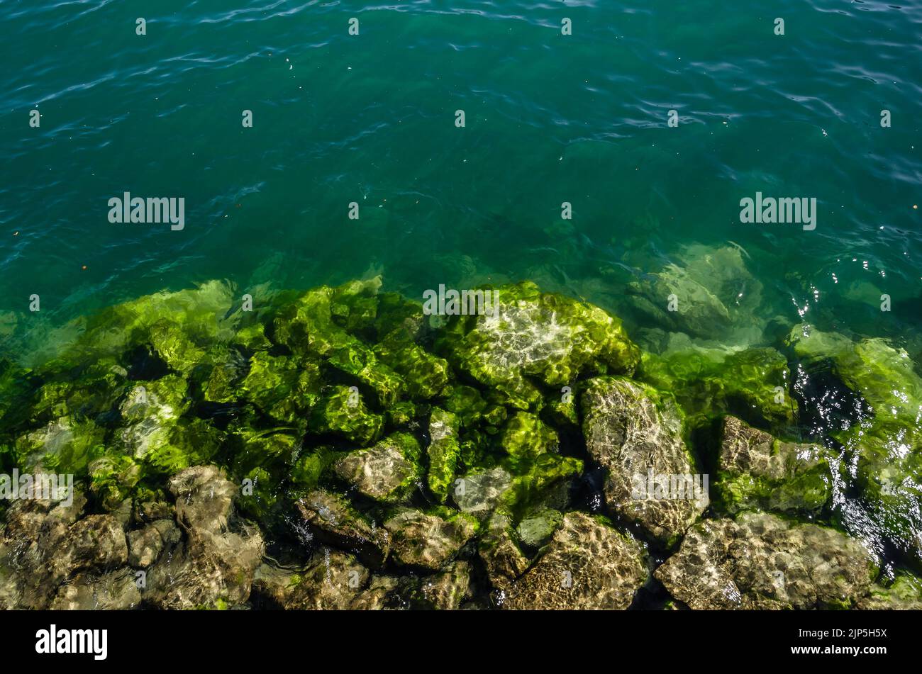 Stones on the bottom of a lake, natural background Stock Photo - Alamy