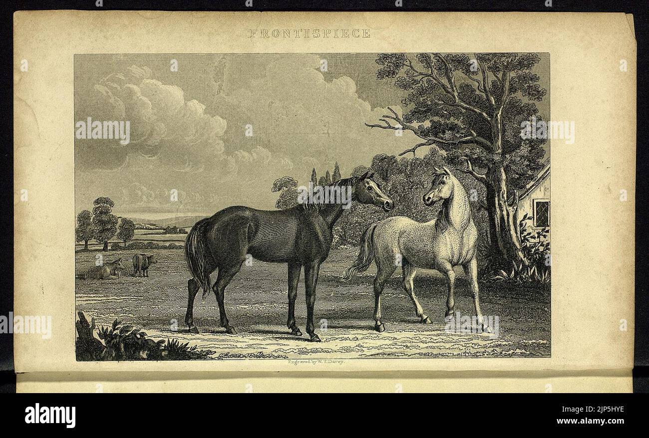 The improved art of farriery 1843 frontispiece w. t. davey Stock Photo ...