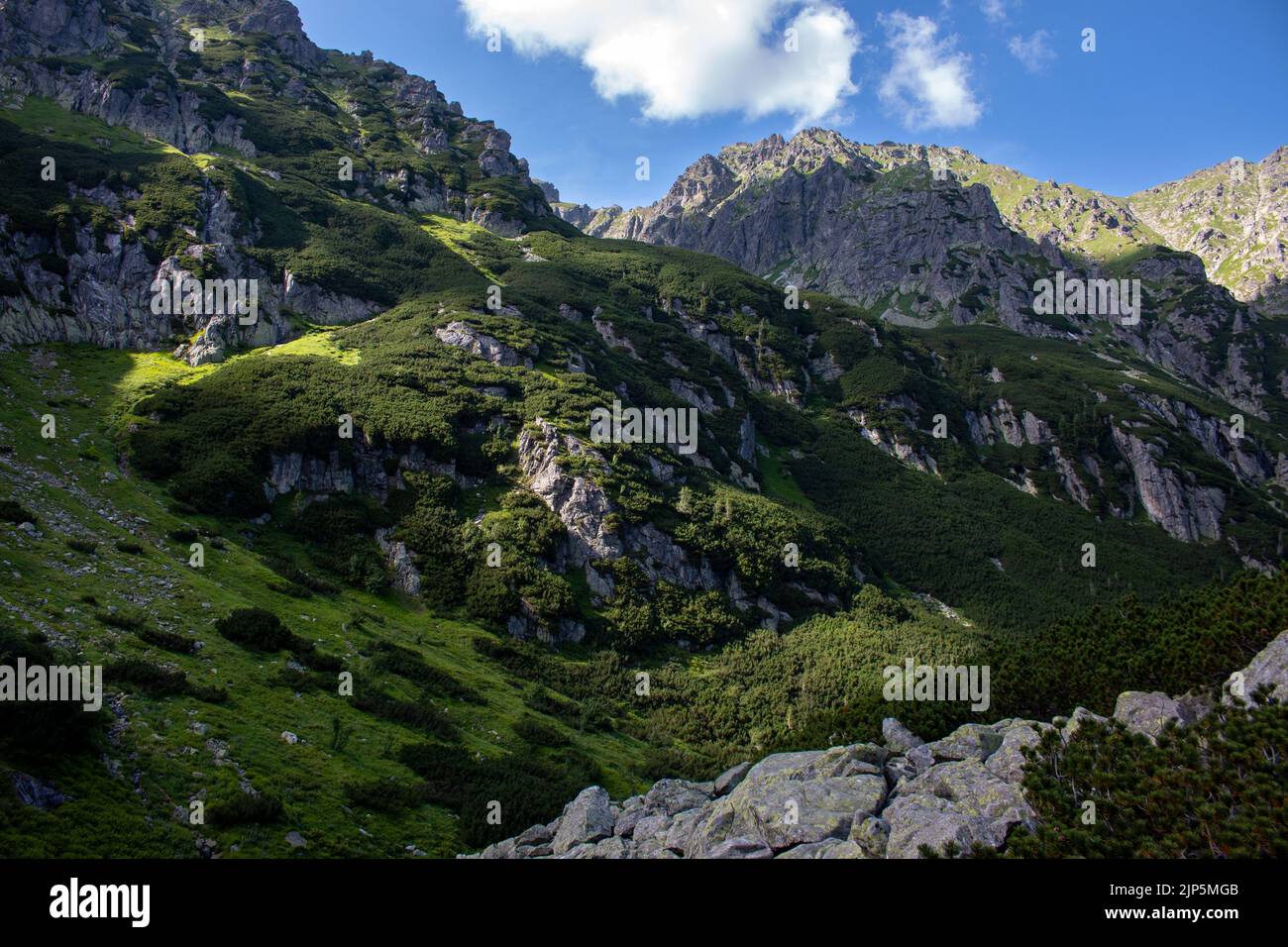 Tatry mountains around Dolina Roztoki valley near Zakopane, Poland ...