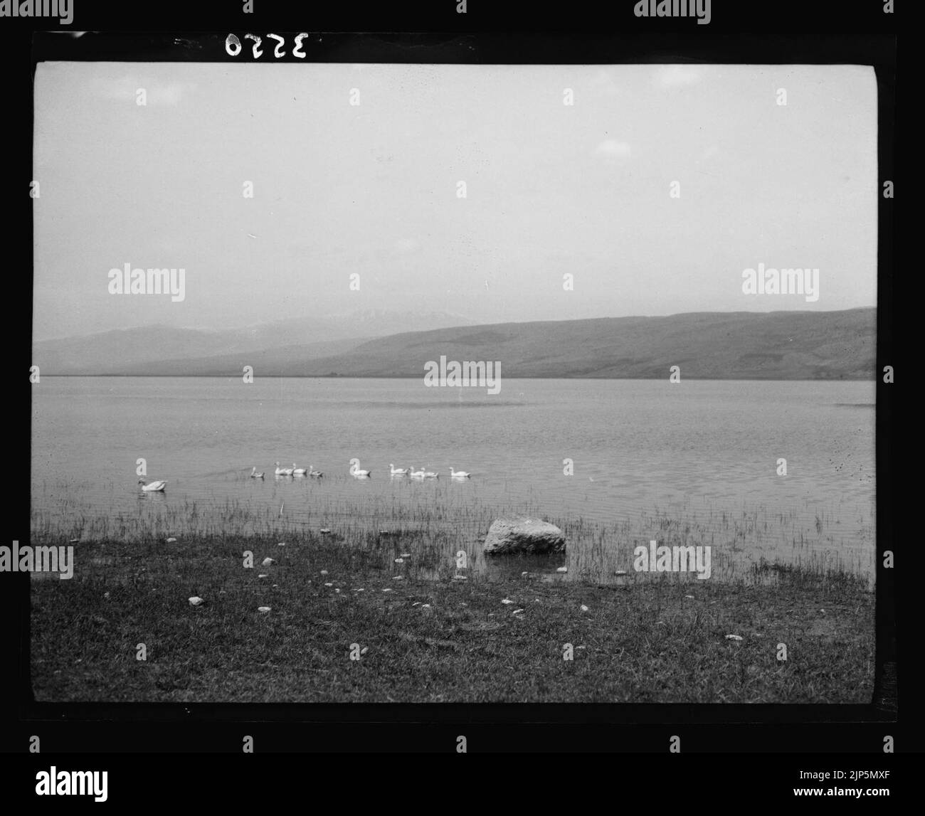 The Jordan Valley north of Lake Galilee. Lake Huleh. 'Waters of Merom ...