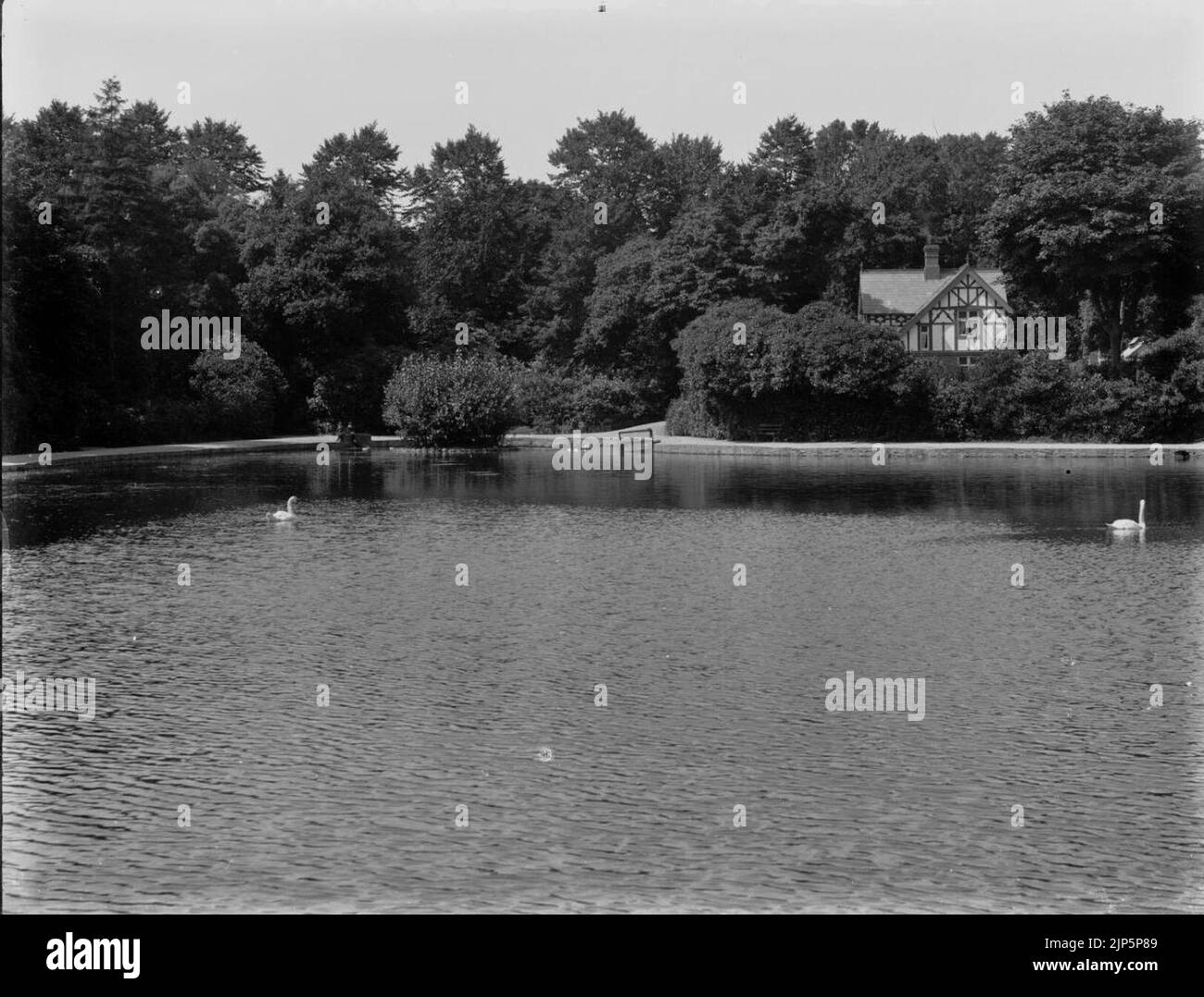 The Lake, Brynmill Park, Swansea (4785899 Stock Photo - Alamy