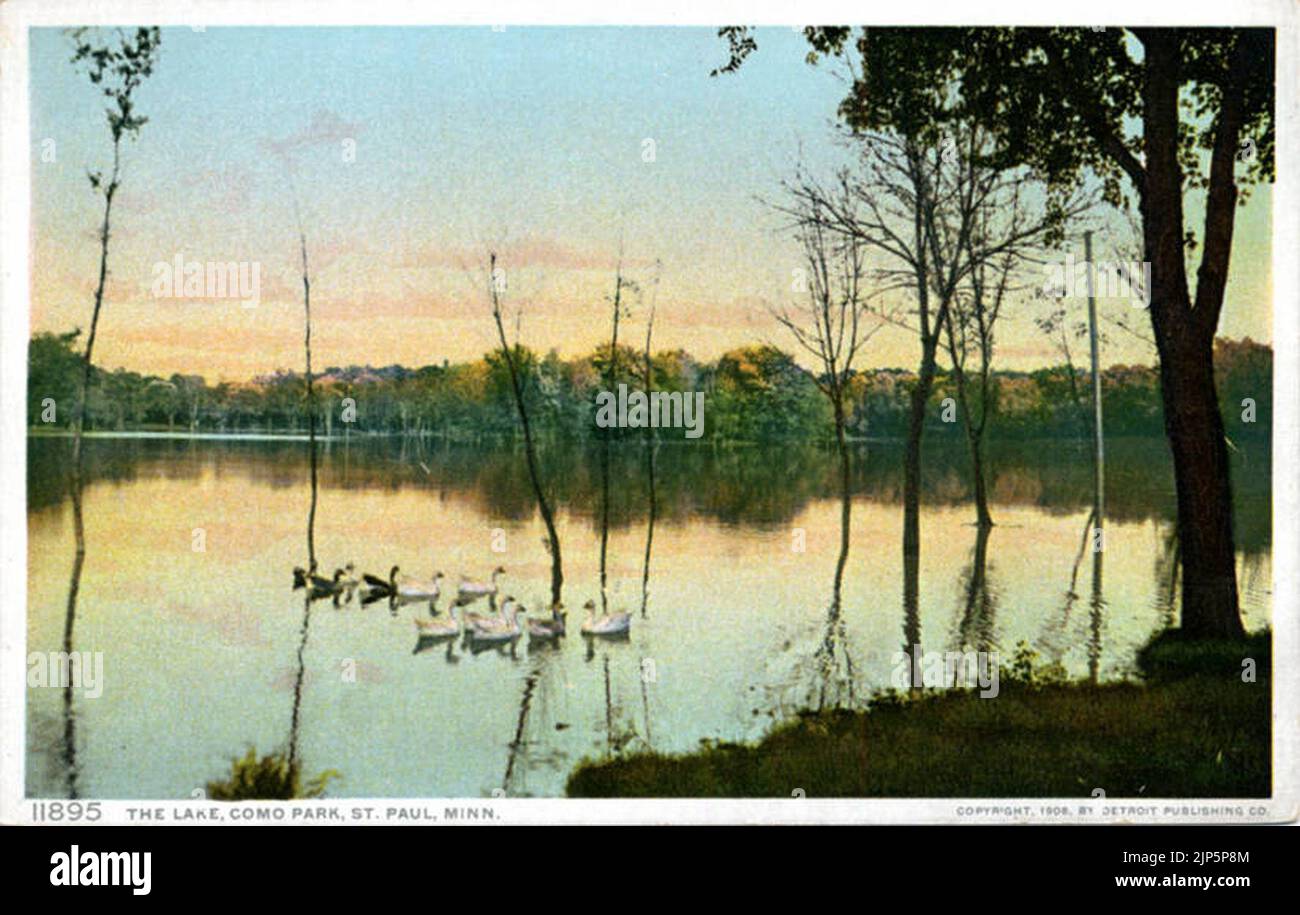 The Lake, Como Park Stock Photo - Alamy