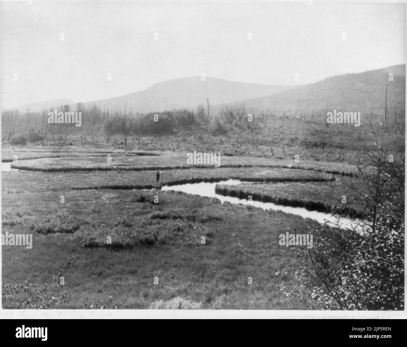 The Letter ''S'', Ray Brook Stock Photo - Alamy