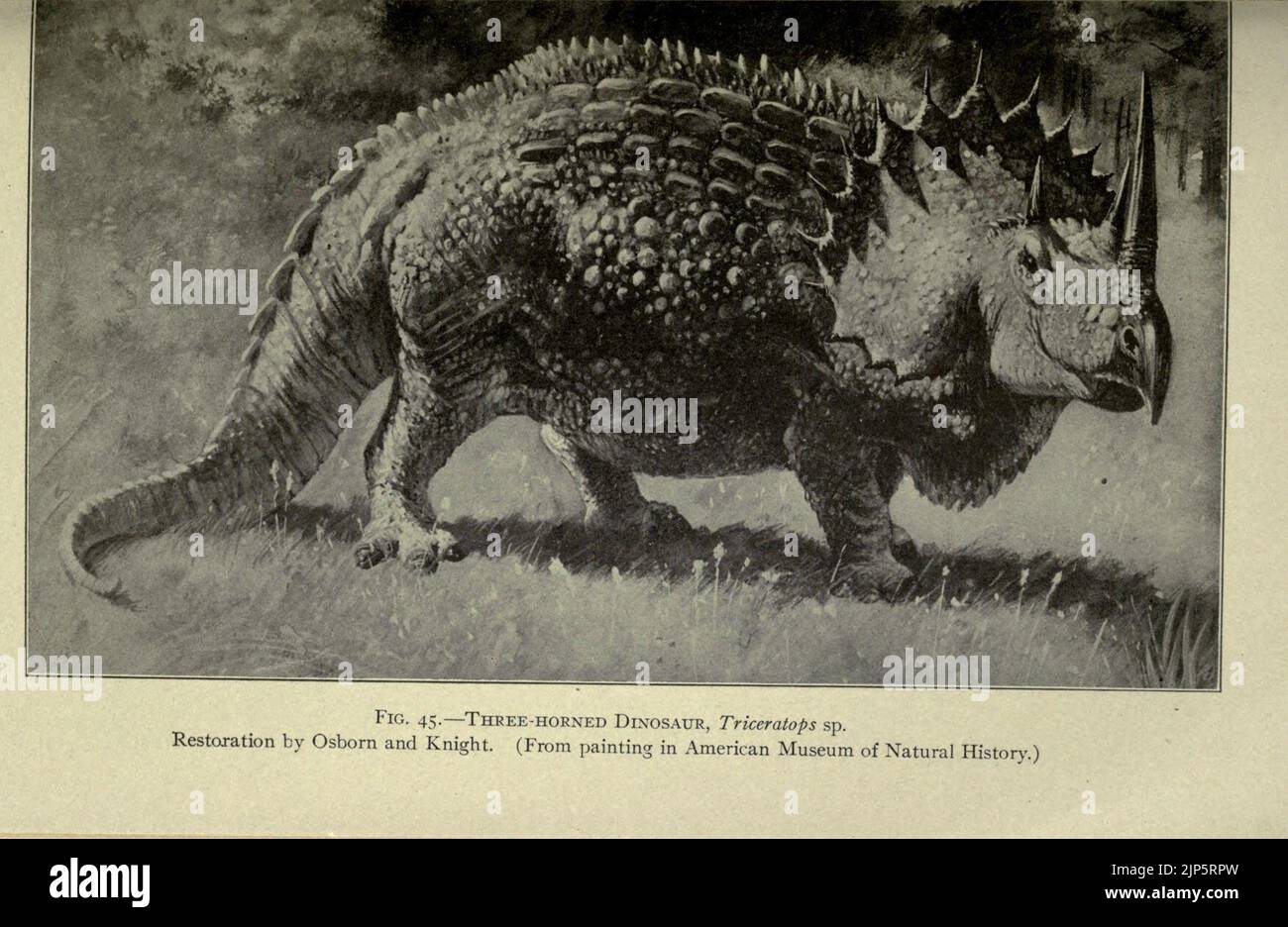 The life of a fossil hunter Stock Photo - Alamy