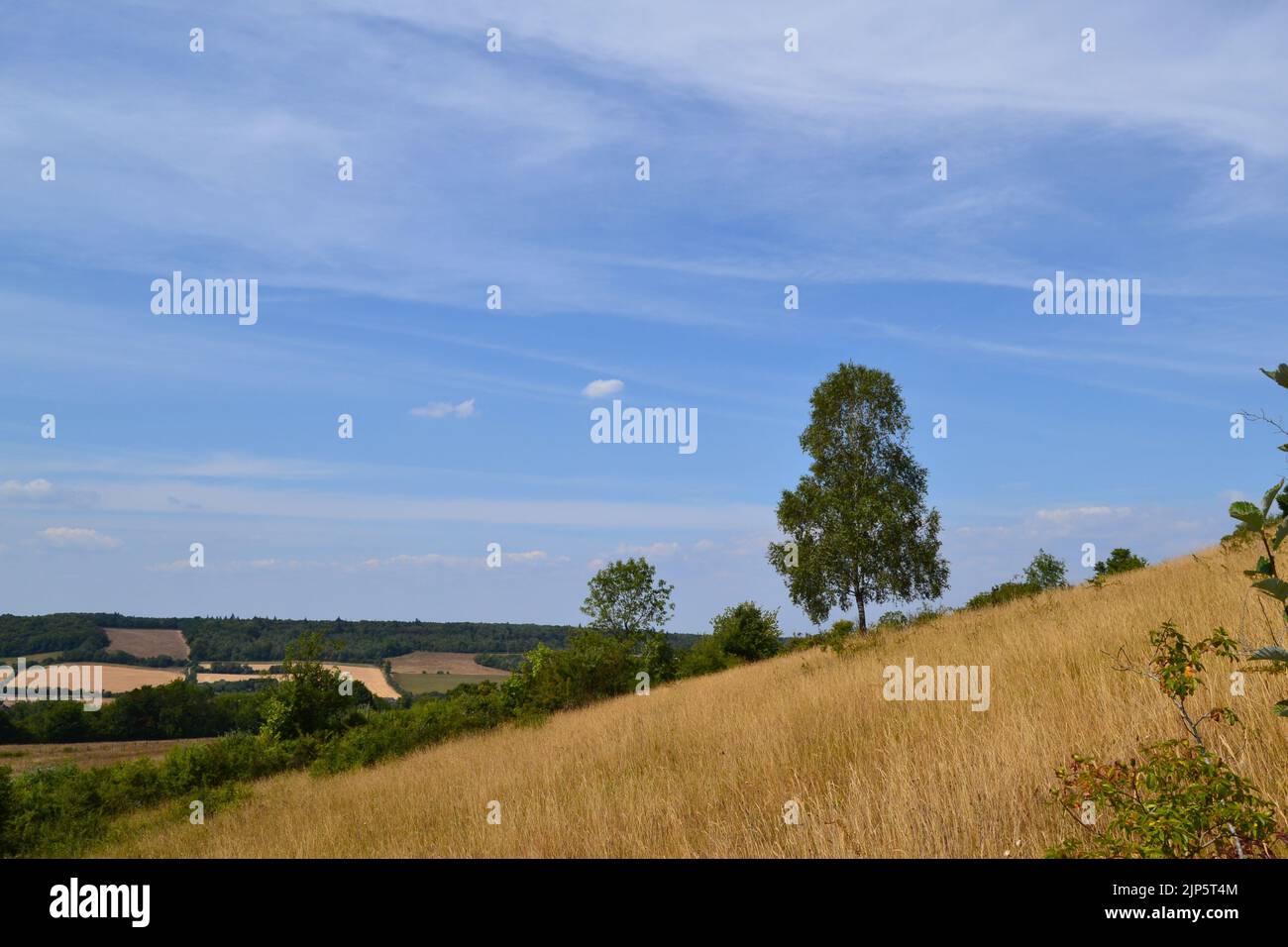 Drought conditions in Shoreham, Kent, parched fields on hot August day ...
