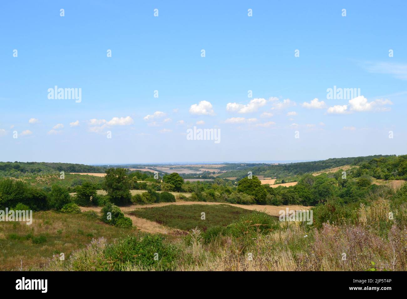 Drought conditions in Shoreham, Kent, parched fields on hot August day ...