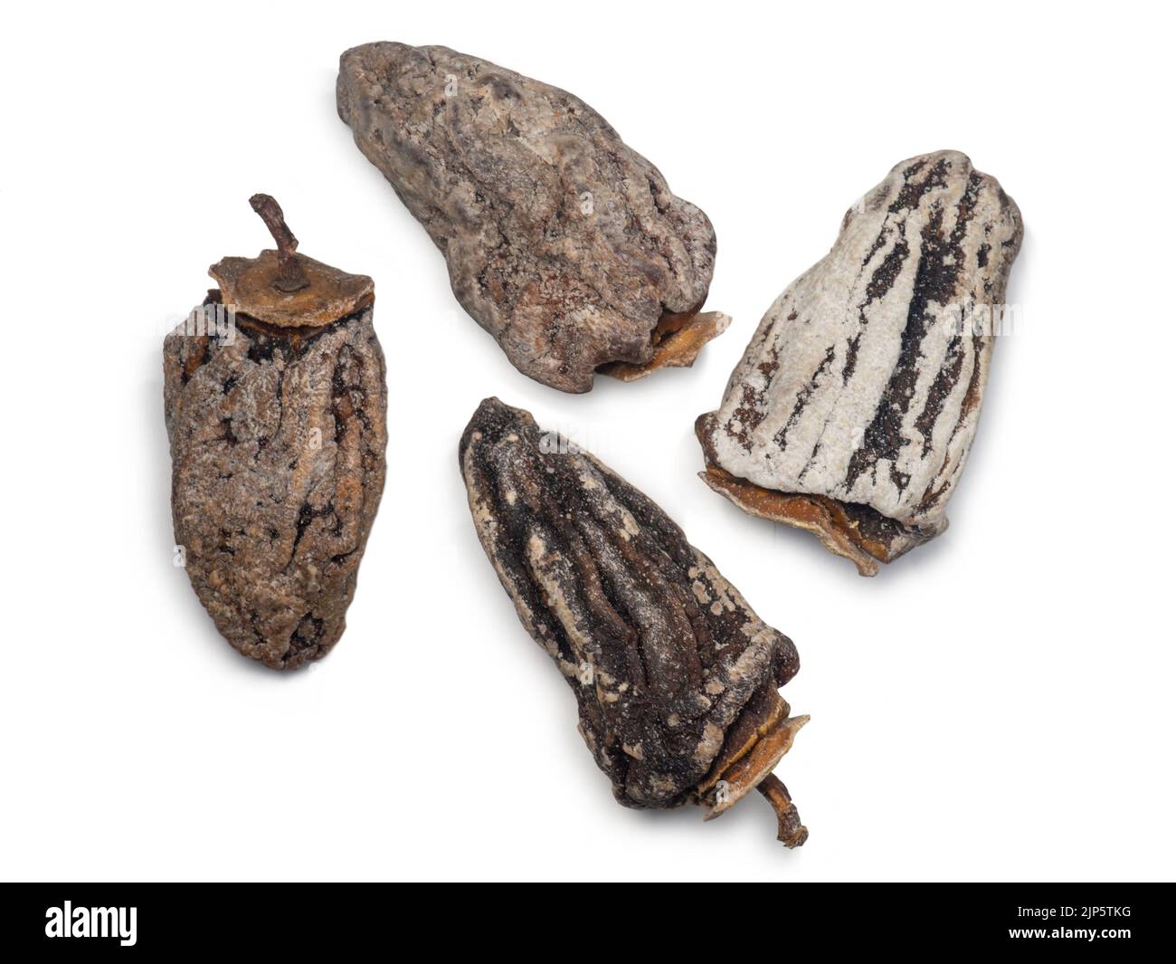 Dried persimmon on a white background. Dried fruits of the tree. Dried ...