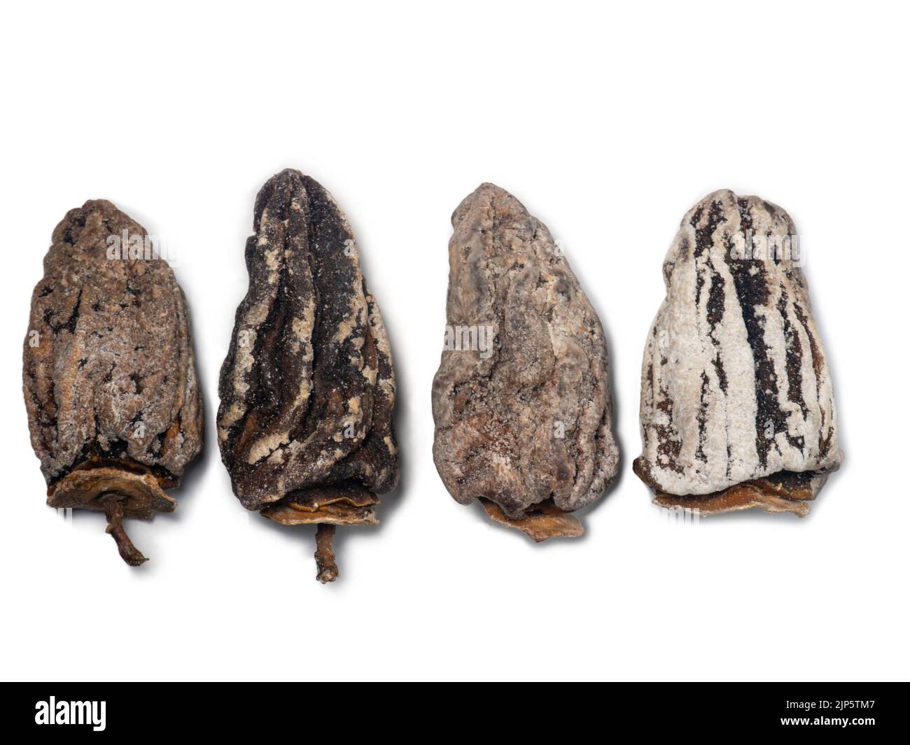 Dried persimmon on a white background. Dried fruits of the tree. Dried ...