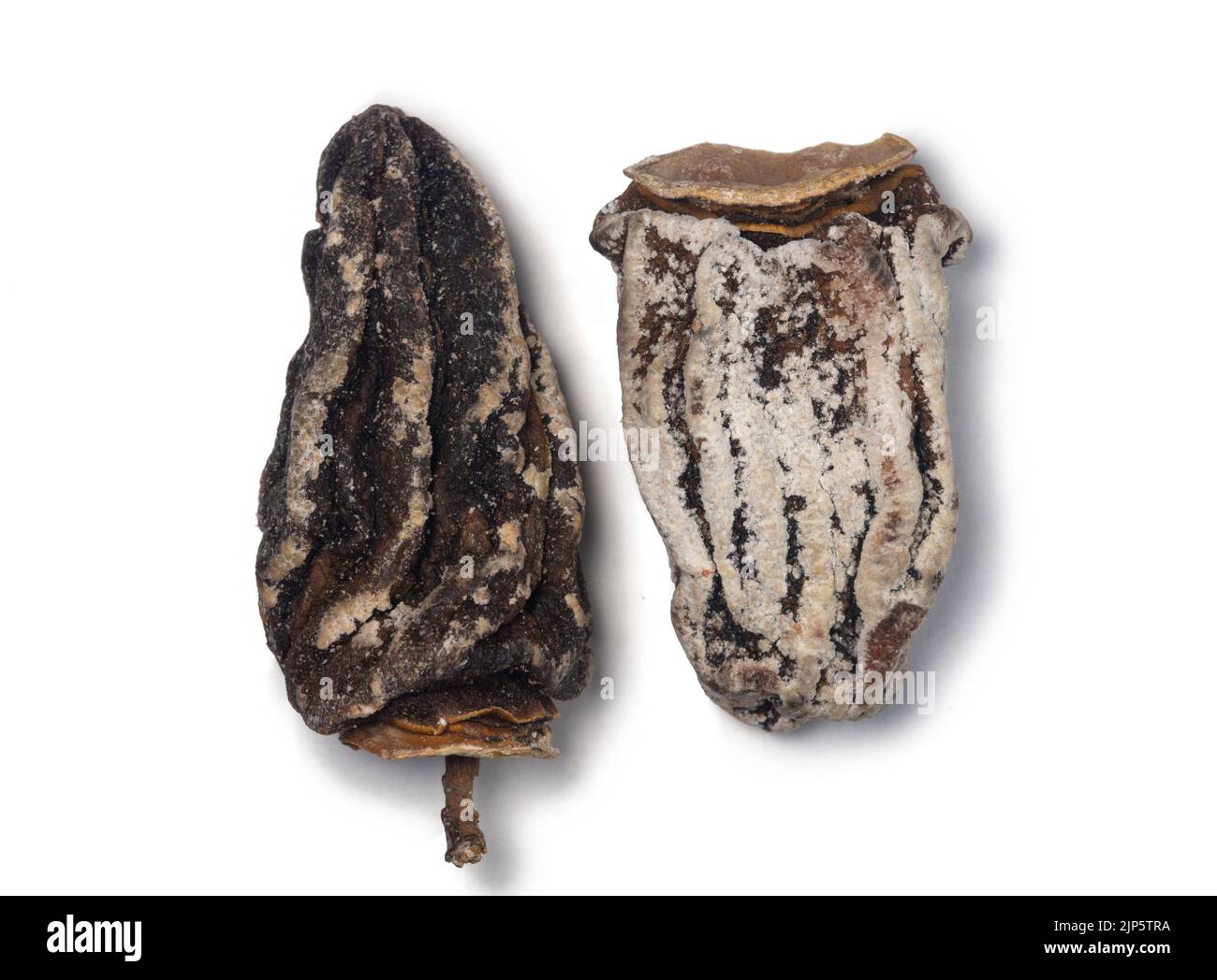 Dried persimmon on a white background. Dried fruits of the tree. Dried ...
