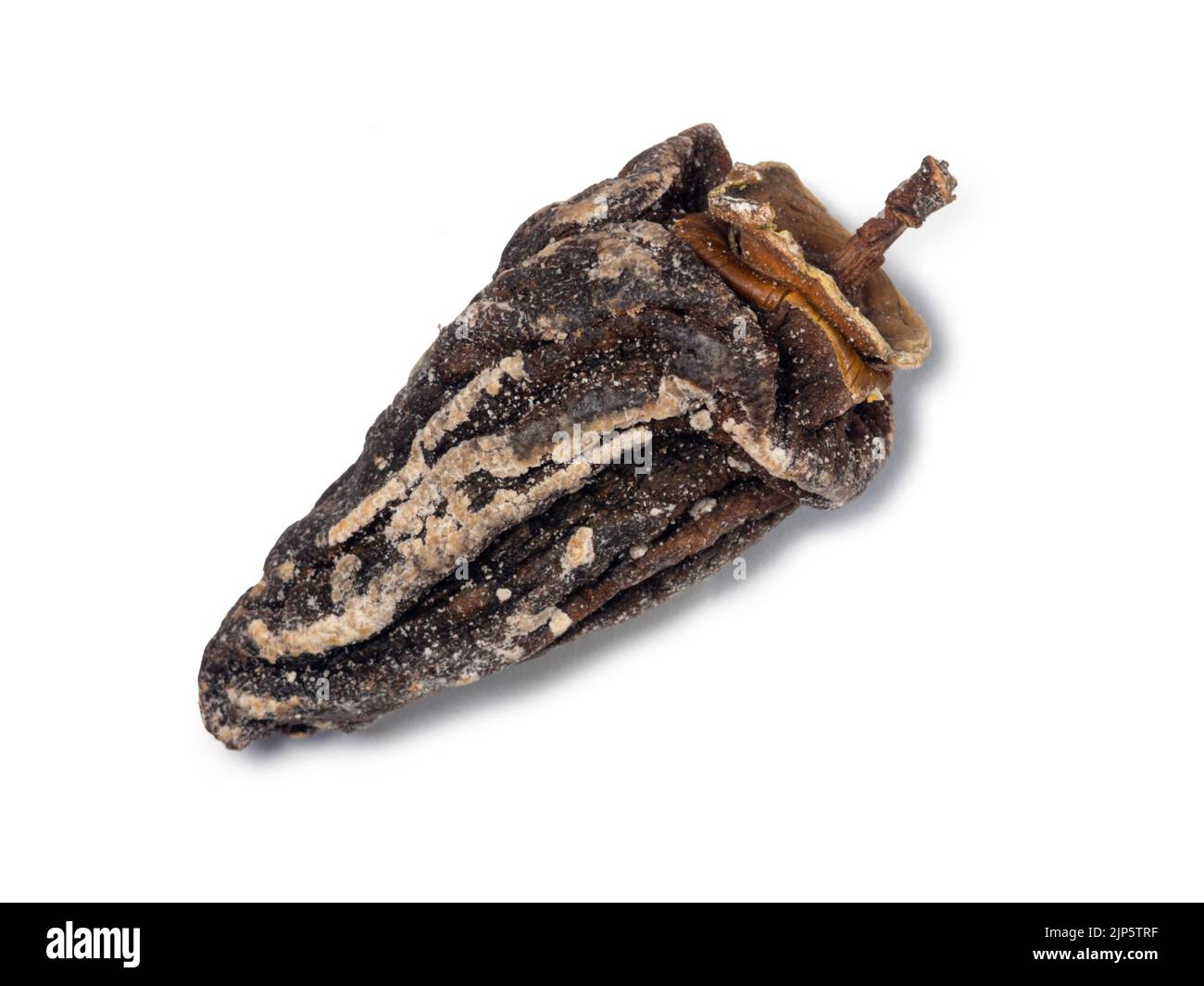 Dried persimmon on a white background. Dry fruits of the tree. Dried ...