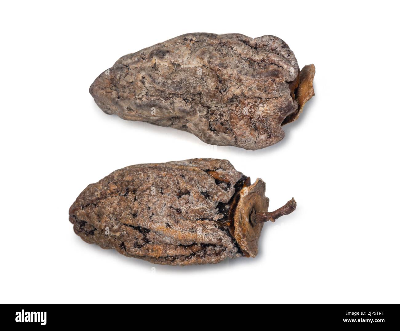 Dried persimmon on a white background. Dry fruits of the tree. Dried ...
