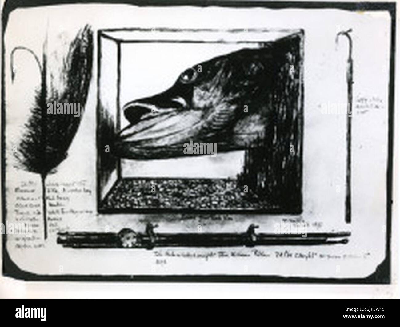 The Loch Ken Pike caught by gamekeeper John Murray in 1774 Stock Photo ...