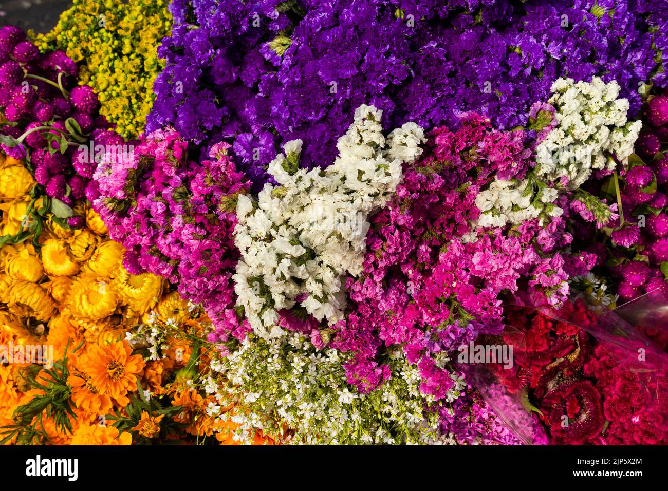 Colorful and exotic Colombian flowers in the market square Stock Photo ...