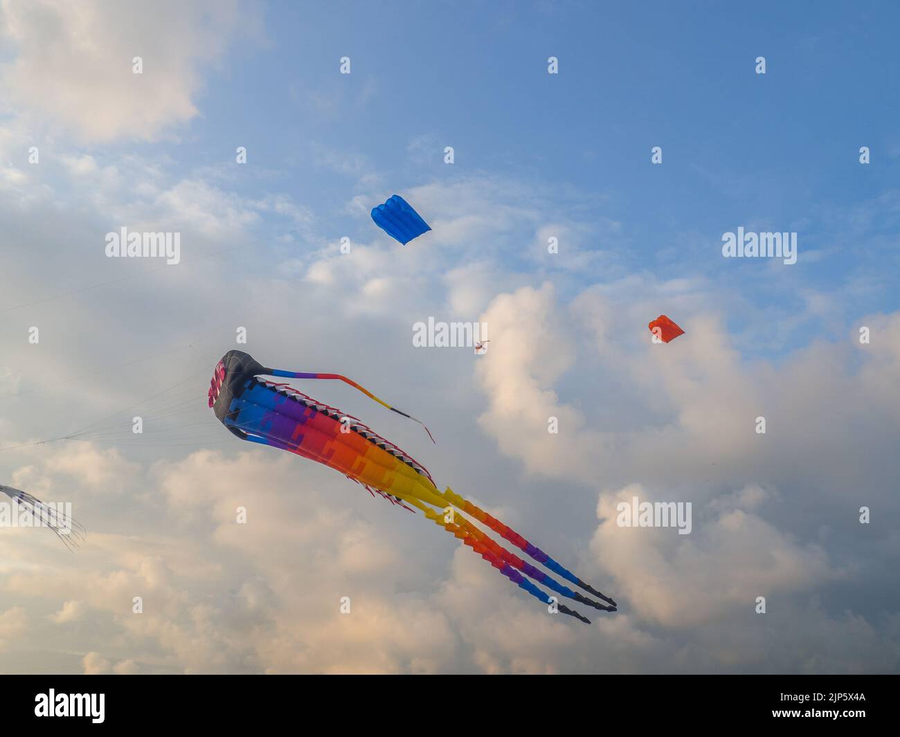 Wind. Festival of kites. Flying a huge kite in the shape of a squid ...