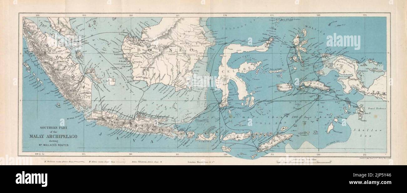 The Malay Archipelago, the land of the orang-utan and the bird of ...