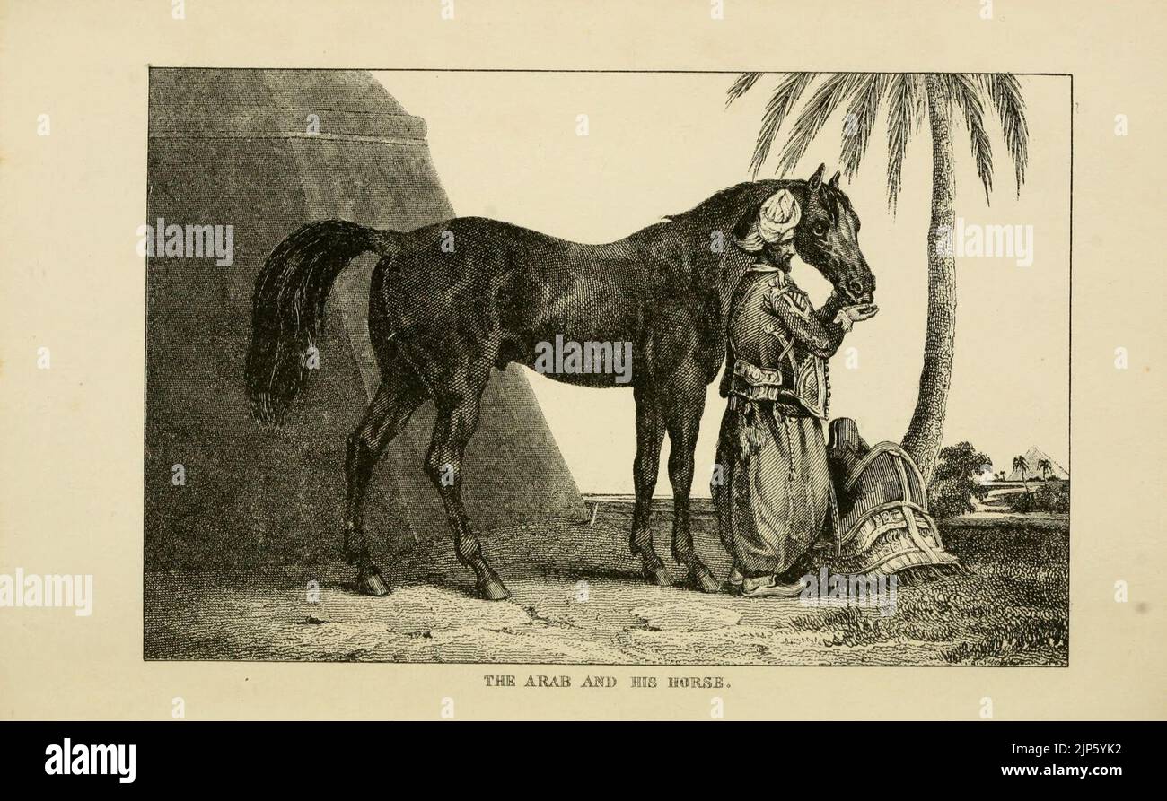 The management and treatment of the horse in the stable, field, and on ...