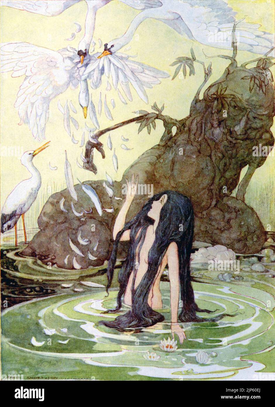 The Marsh King's Daughter 2 - Anne Anderson Stock Photo - Alamy