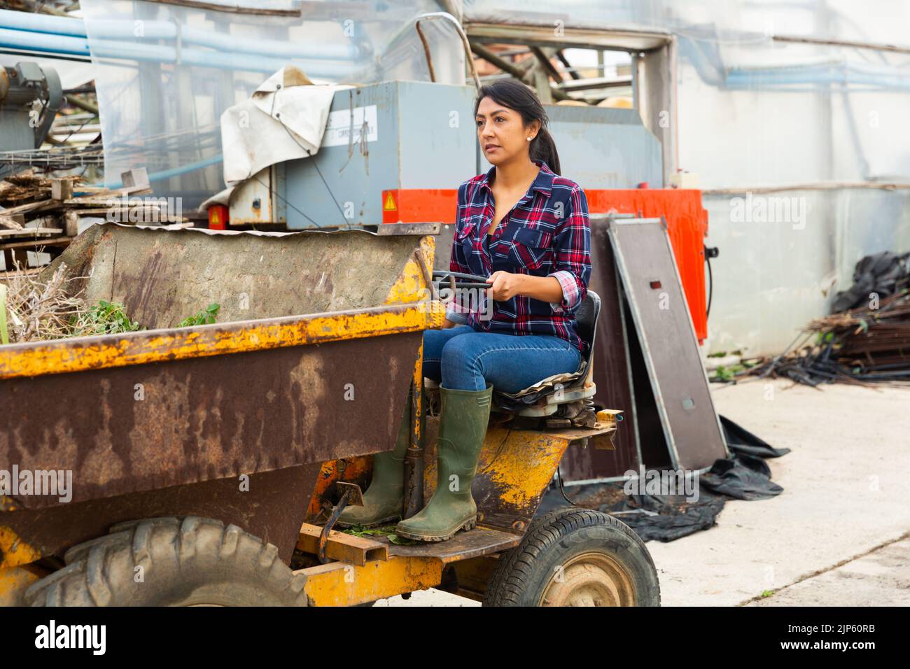 Latin american woman farmer driving a mini dump truck, drives out to ...