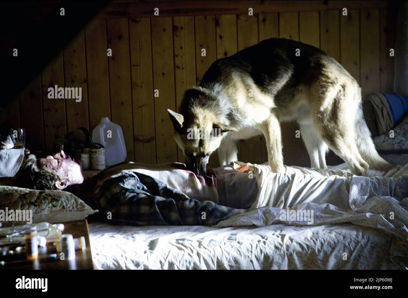 MOVIE SCENE, CARRIERS, 2009 Stock Photo - Alamy