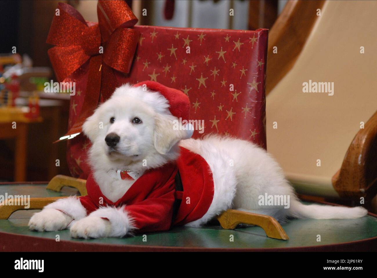 SANTA PAWS, SANTA BUDDIES, 2009 Stock Photo - Alamy