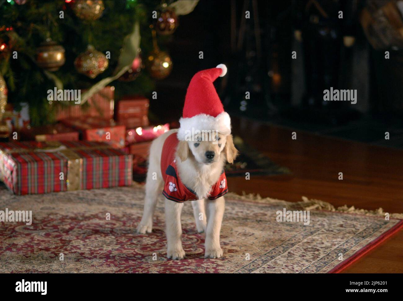 Santa Buddies Wallpaper