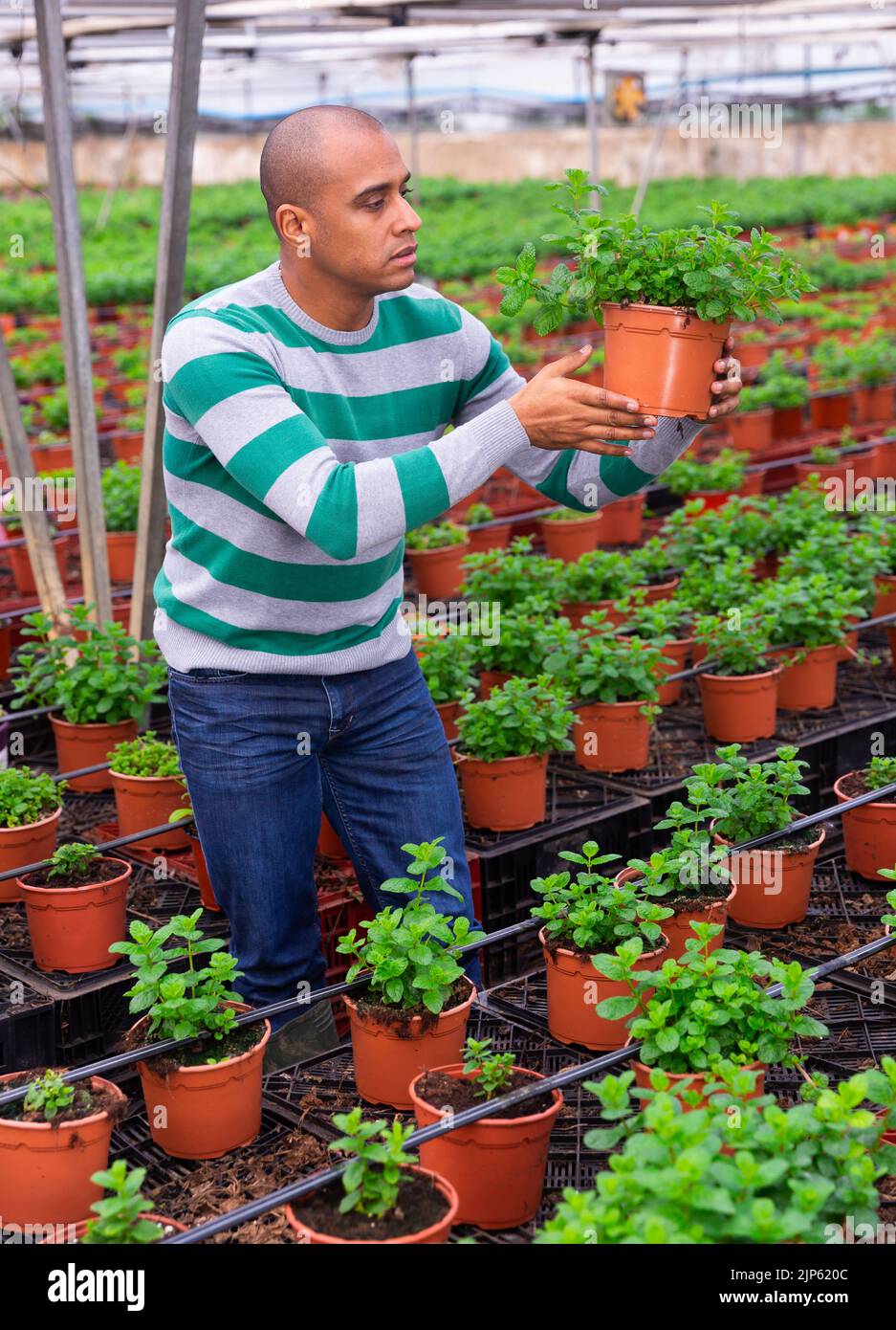 Mint green boots hi-res stock photography and images - Alamy