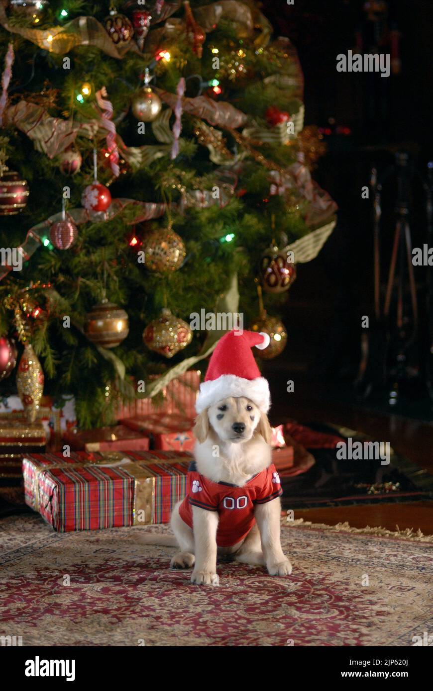 Santa Buddies Poster