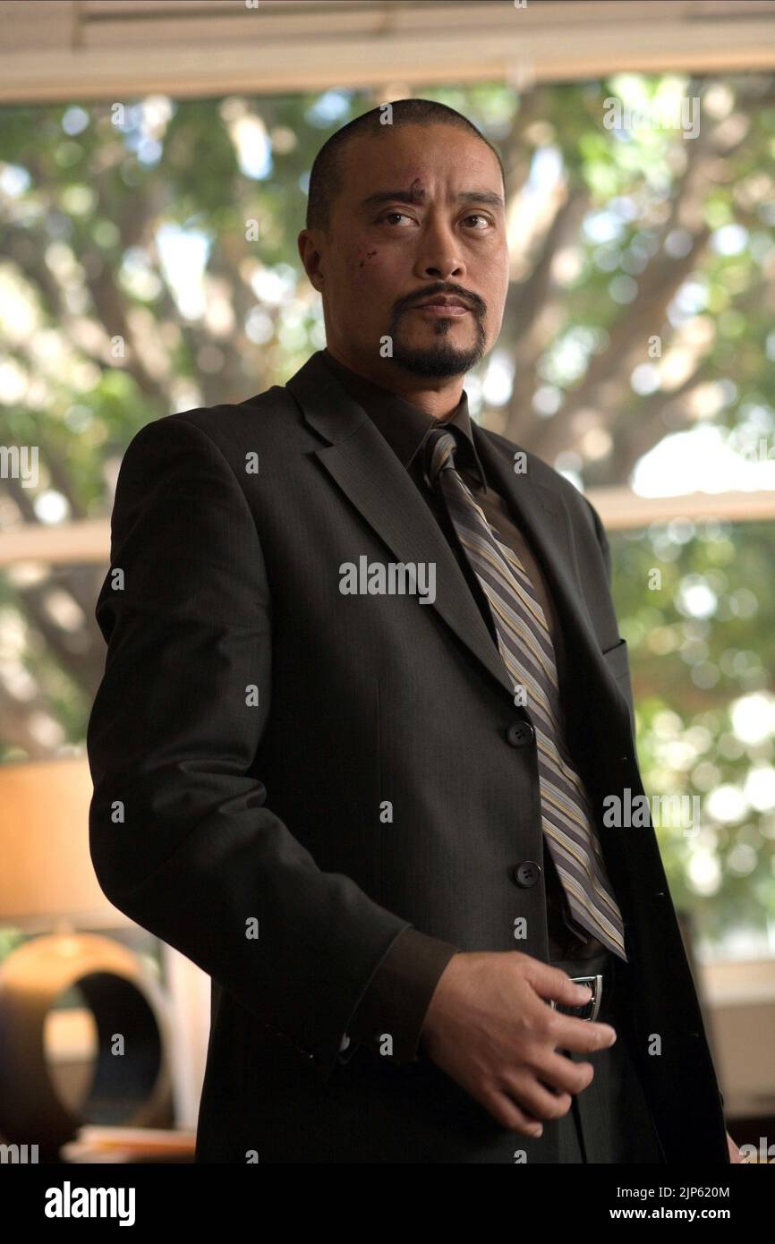 Lee leo hi-res stock photography and images - Alamy