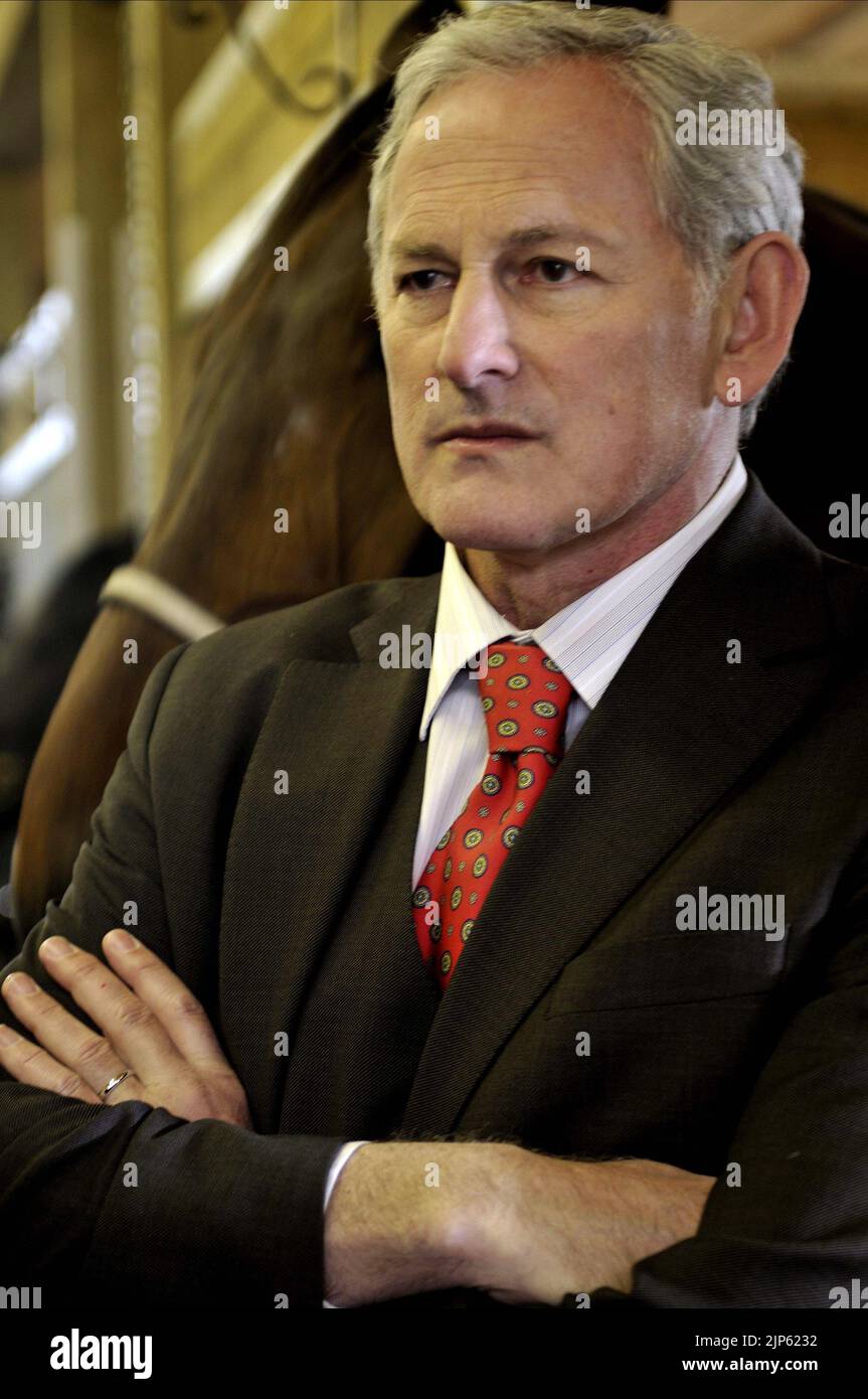VICTOR GARBER, EVERYTHING SHE EVER WANTED, 2009 Stock Photo - Alamy