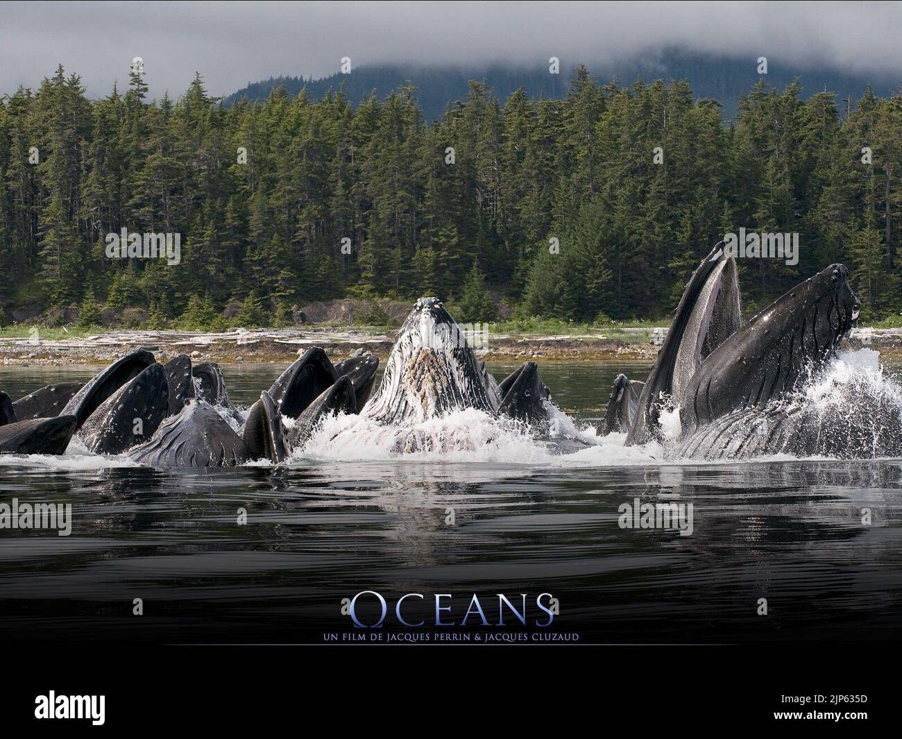 WHALES POSTER, OCEANS, 2009 Stock Photo - Alamy