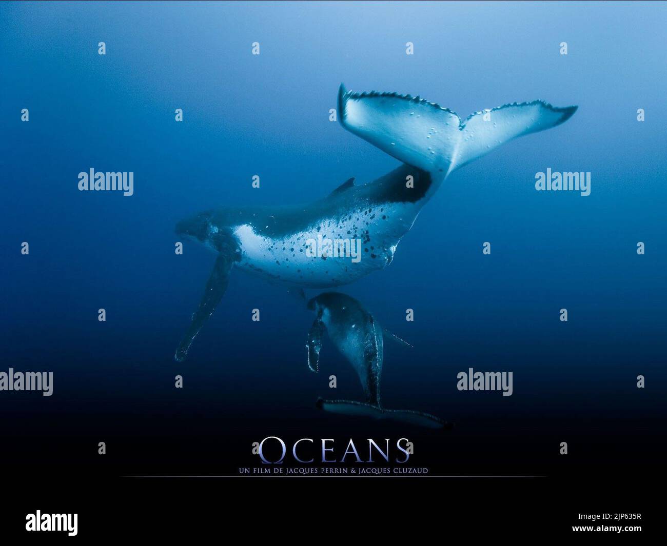 WHALE POSTER, OCEANS, 2009 Stock Photo - Alamy