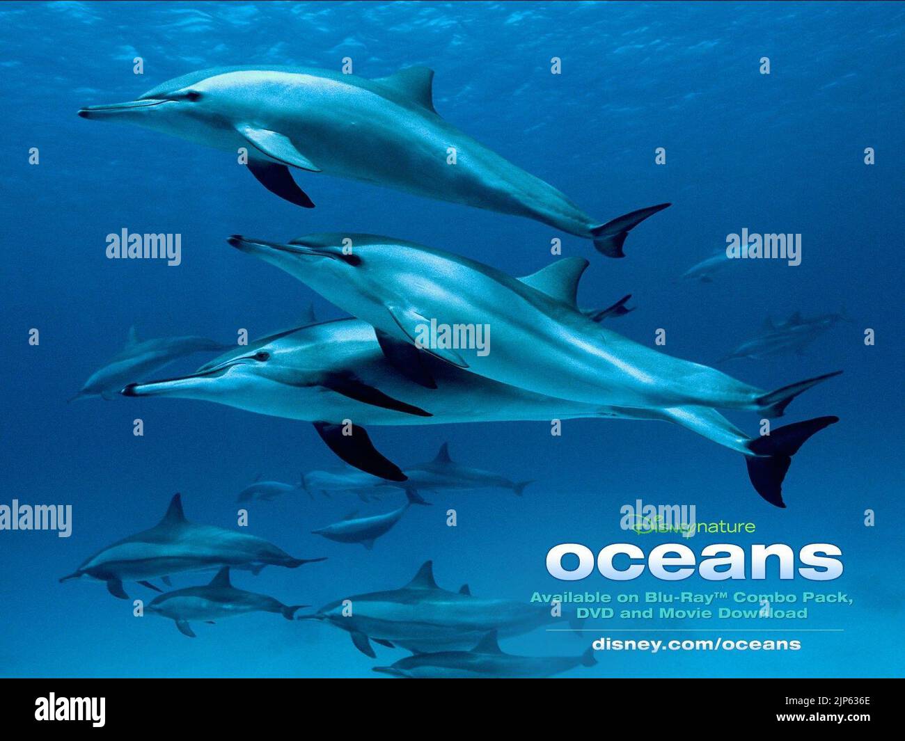 DOLPHIN POSTER, OCEANS, 2009 Stock Photo - Alamy