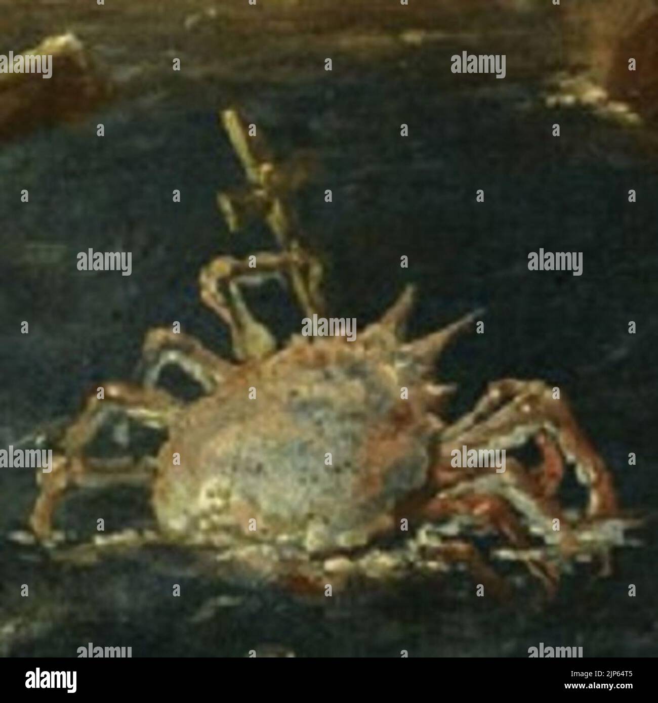 The Miracle of Saint Francis Xavier and the Crab (crop Stock Photo - Alamy